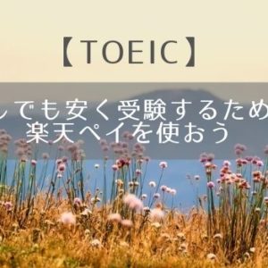 ダイソー（DAISO）で使えるQRコード決済はどこ？ PayPayやLinePayは使えるの？ - Sidebiz-Labo